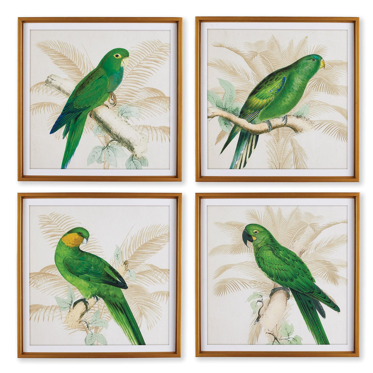 Green Parrots Study, Set Of 4 – Signastyle Home